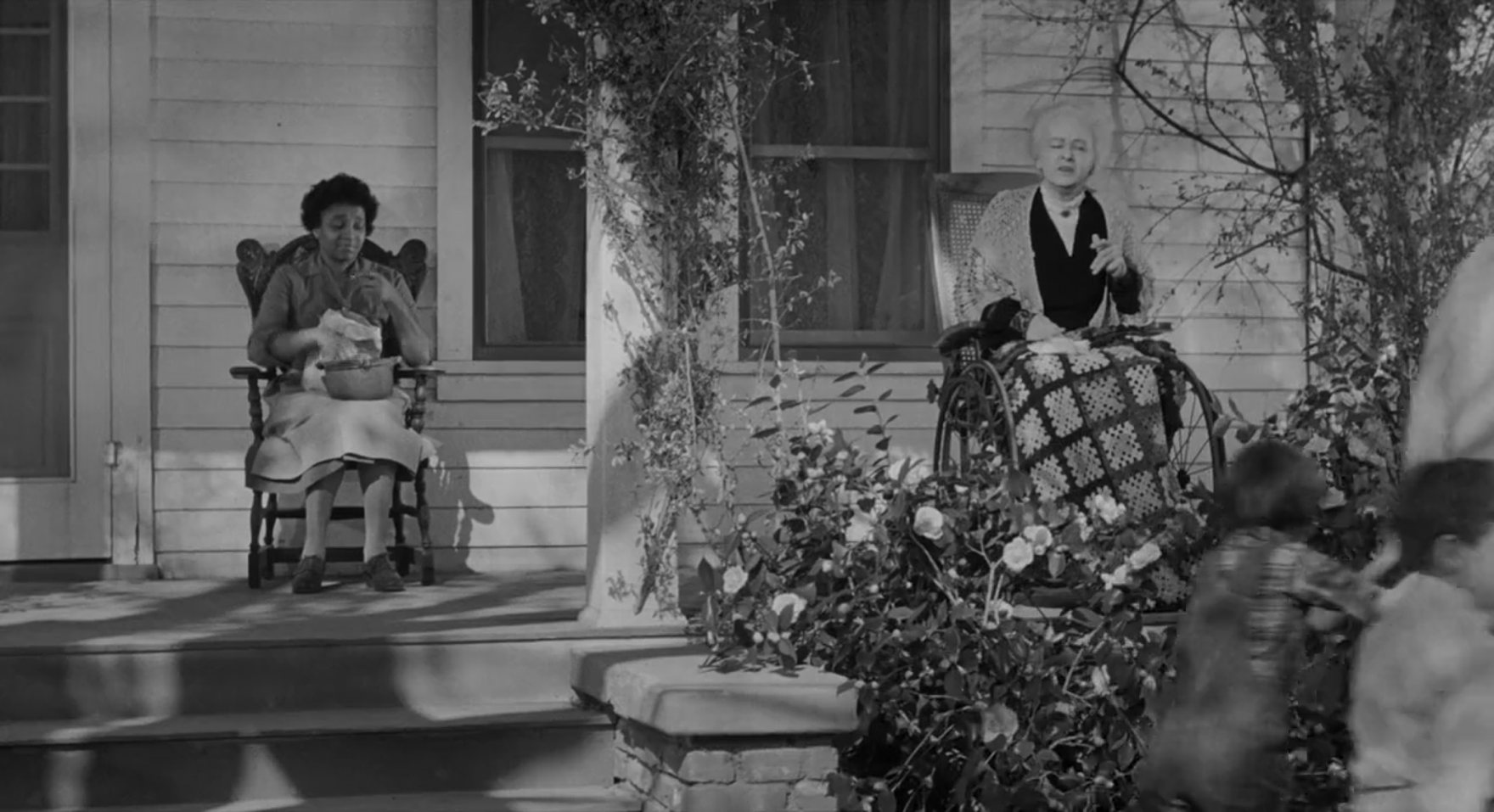 Look at your flowers | Jardinagem.org